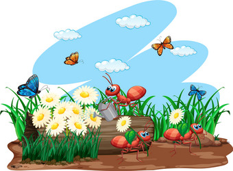 Insects Royalty Free Vector Image - VectorStock