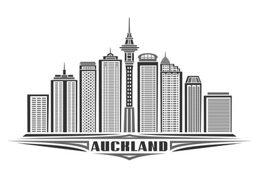 Auckland city skyline new zealand linear Vector Image