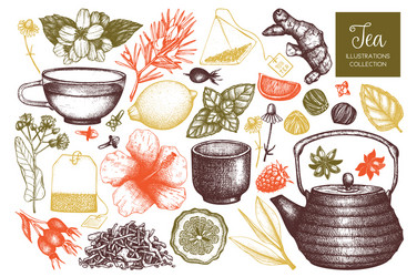 Bubble tea asian traditional drink milkshake cup Vector Image