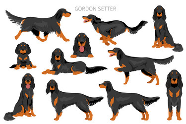 Gordon Vector Images (95)