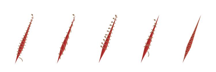 Baseball stitches and red lace with loop of thread