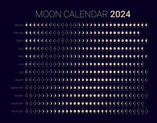 Moon calendar for 2024 year lunar phases schedule Vector Image