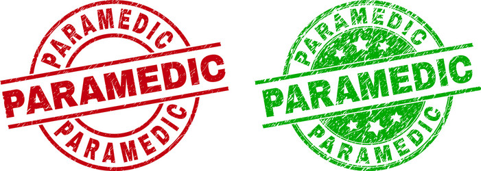 Paramedic Badge Vector Images (over 420)