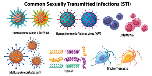 Common sexually transmitted infections sti Vector Image