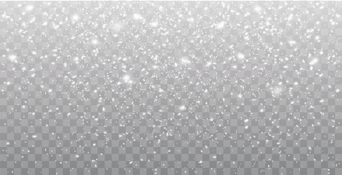 Seamless realistic falling snow isolated Vector Image