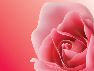 Closed Rose Vector Images (over 2,200)