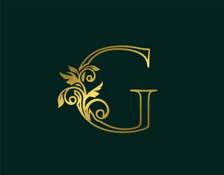 Gold elegant letter g logo graceful style Vector Image