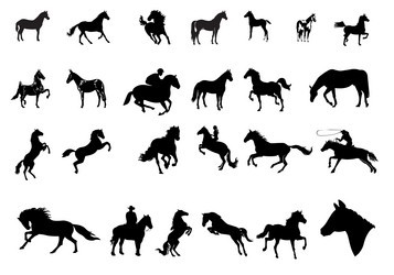 Walking Horse Vector Images (over 1,500)