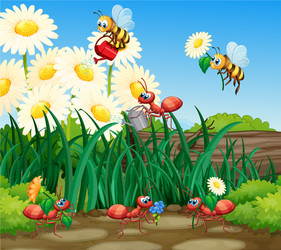 Scene with many bugs in garden Royalty Free Vector Image