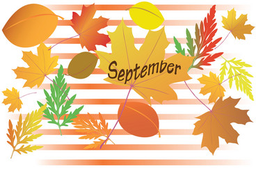 September the name of month Royalty Free Vector Image