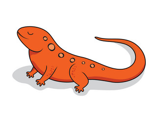 Newt Royalty Free Vector Image - VectorStock