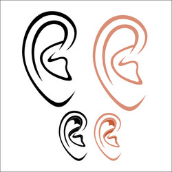 Realistic infographic ear icon Royalty Free Vector Image