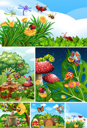 Set different insects living in garden Royalty Free Vector