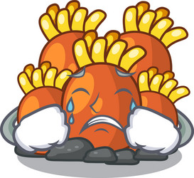 Fish Funny Crying Vector Images (over 110)