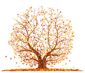 Oak tree in autumn isolated Royalty Free Vector Image