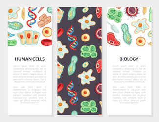 Human cells web banner as medicine and biology Vector Image