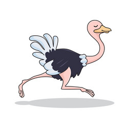 Emu Running Cartoon Vector Images (over 100)