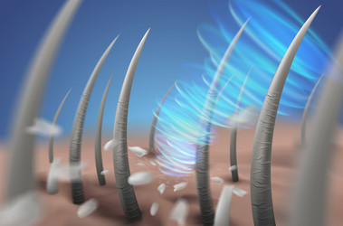 Scalp Vector Images (over 5,300)