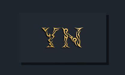 Decorative vintage initial letters yn monogram Vector Image