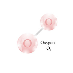 Molecule of oxygen chemical element Royalty Free Vector