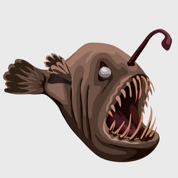 Cartoon Monkfish Fish Vector Images (46)