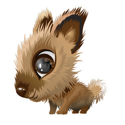 Rabbit Eyes Vector Images (over 3,800)