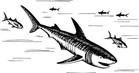 Basking shark and sand marine predatory Royalty Free Vector