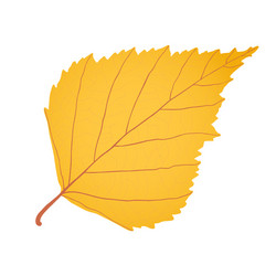 Birch leaf icon flat style Royalty Free Vector Image