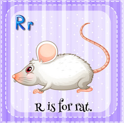 Animals alphabet r is for rat Royalty Free Vector Image