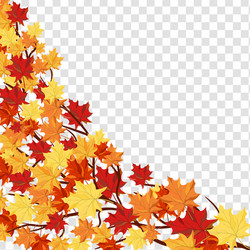 Maple leaves on transparency grid Royalty Free Vector Image