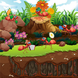 Ants in their nest anthill section under Vector Image