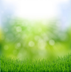 Spring Vector Images (over 1.3 million)