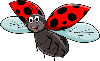 Cartoon happy ladybug on white background Vector Image