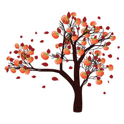 Persimmon tree Royalty Free Vector Image - VectorStock