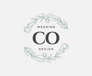 Co initials letter wedding monogram logos Vector Image