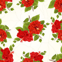 Two red hibiscus stem tropical flower Royalty Free Vector