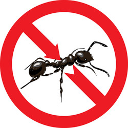 An ant Royalty Free Vector Image - VectorStock