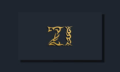 Initial letters zi monogram logo design bundle Vector Image