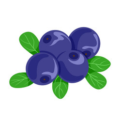 Huckleberries Vector Images (over 1,400)