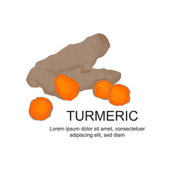 Turmeric Vector Images (over 3,100)