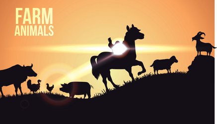 Farm animal design Royalty Free Vector Image - VectorStock