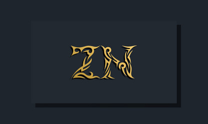 Initial letters zn monogram logo design bundle Vector Image