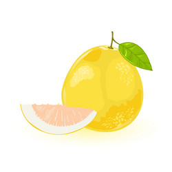 Pomelo Cartoon Vector Images (over 480)