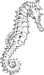 Sea Creatures Etching Vector Images (over 570)