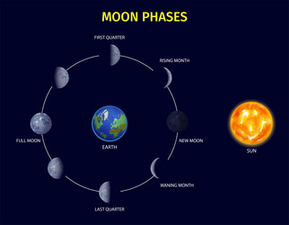 Solar system planets infographic set Royalty Free Vector