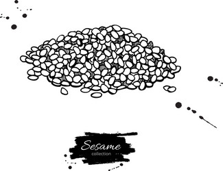 Hand Drawn Sesame Seeds Vector Images (over 330)