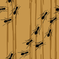 Ants Vector Images (over 14,000)