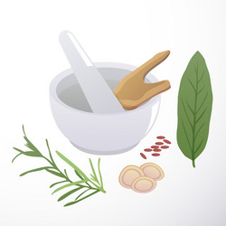 Cobek is traditional mortar grinder from stone Vector Image