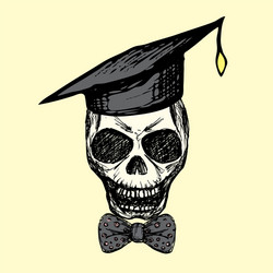 Graduation Skeleton Vector Images (95)