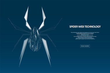 Spider hacker attack danger Royalty Free Vector Image